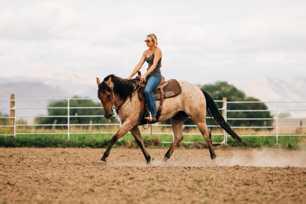 Services – Double Cross Livestock